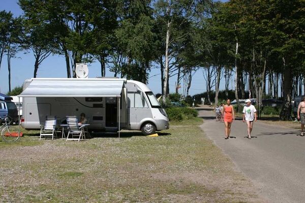 Camping an der Ostsee – Natur, Freiheit & Erholung - Fischland Darß-Zingst