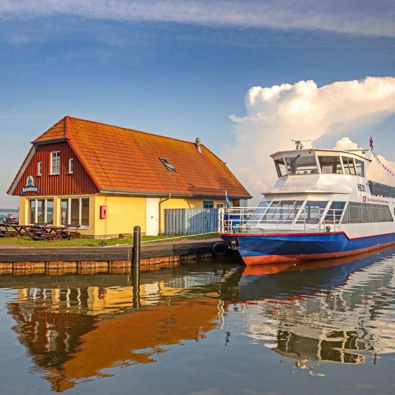 Born auf dem Darß – Natur, Reetdächer & Boddenidylle - Fischland Darß ...