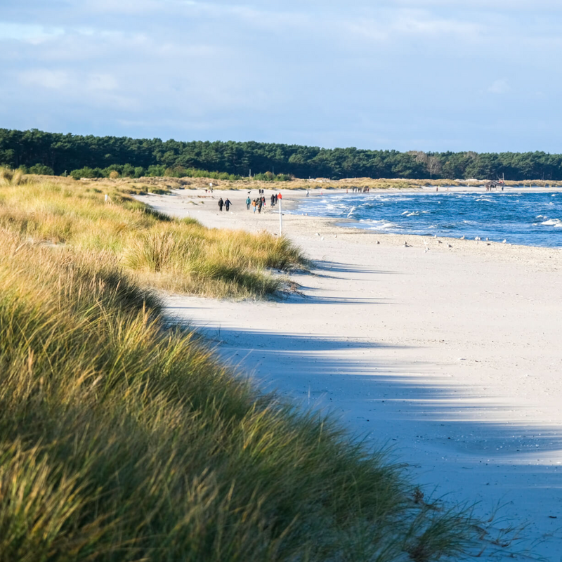 Prerow – Feinsandiger Traumstrand & Nationalpark-Erlebnis - Fischland ...