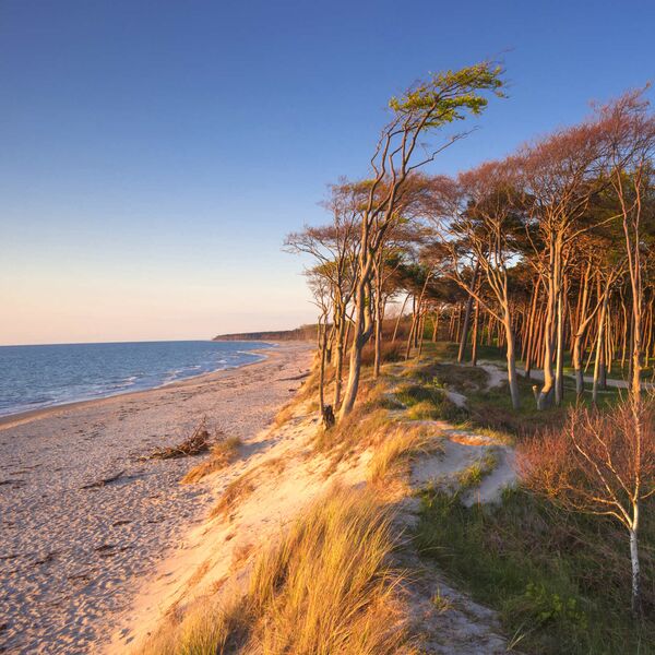 Born auf dem Darß – Natur, Reetdächer & Boddenidylle - Fischland-Darß ...