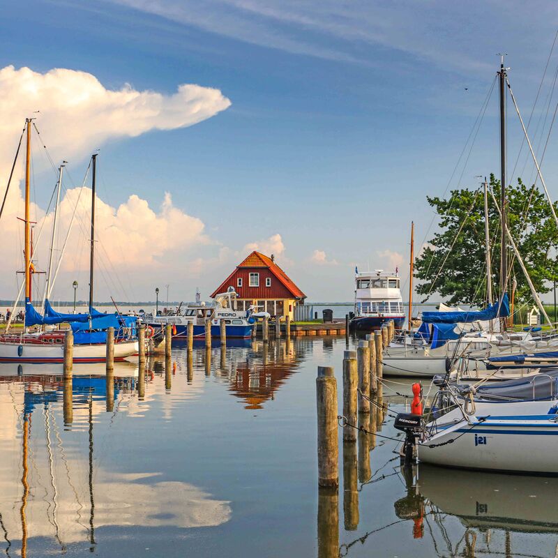 Born auf dem Darß – Natur, Reetdächer & Boddenidylle - Fischland-Darß ...