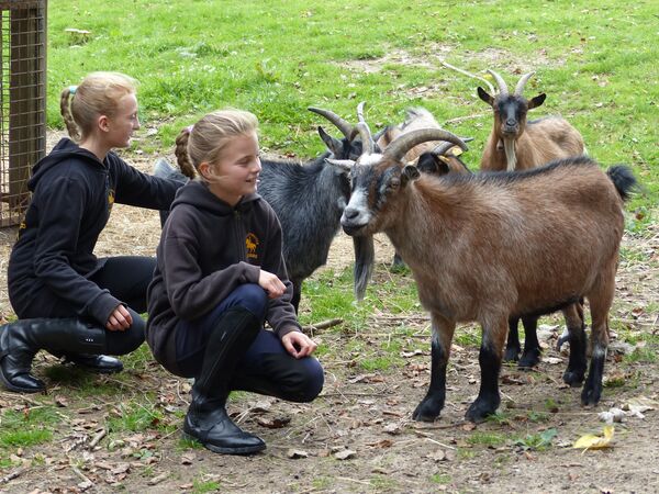 Veranstaltungen-Details - Fischland-Darß-Zingst